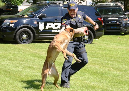Dog Festival - Westport-Weston Chamber of Commerce | WWCC